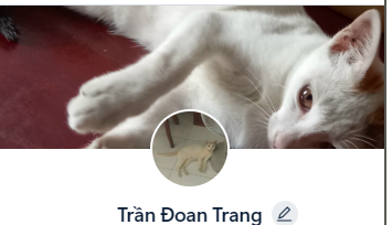 Thinker English Center – Trung tâm tiếng Anh trực tuyến Thinker